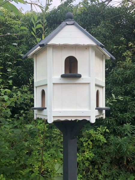 nest boxes for doves
